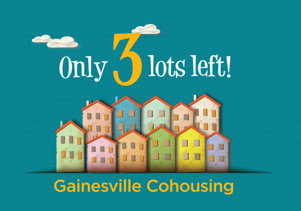 Only 3 Lots Left! - Gainesville Cohousing